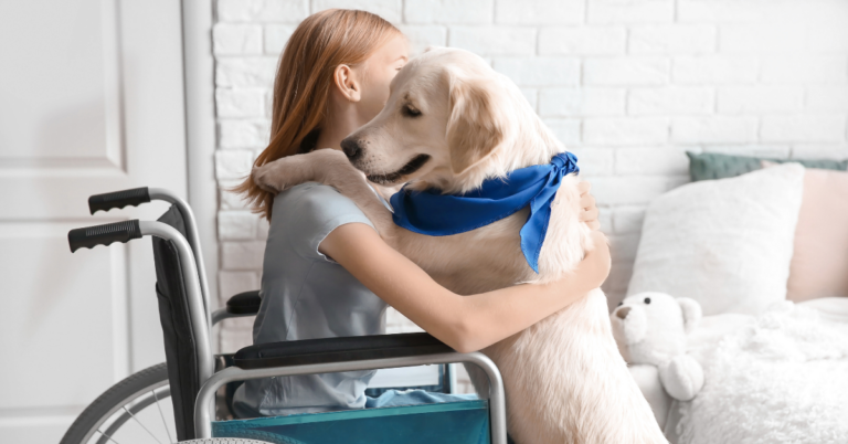 A Brief History of Service Dogs | National Dog Month – BridgingApps